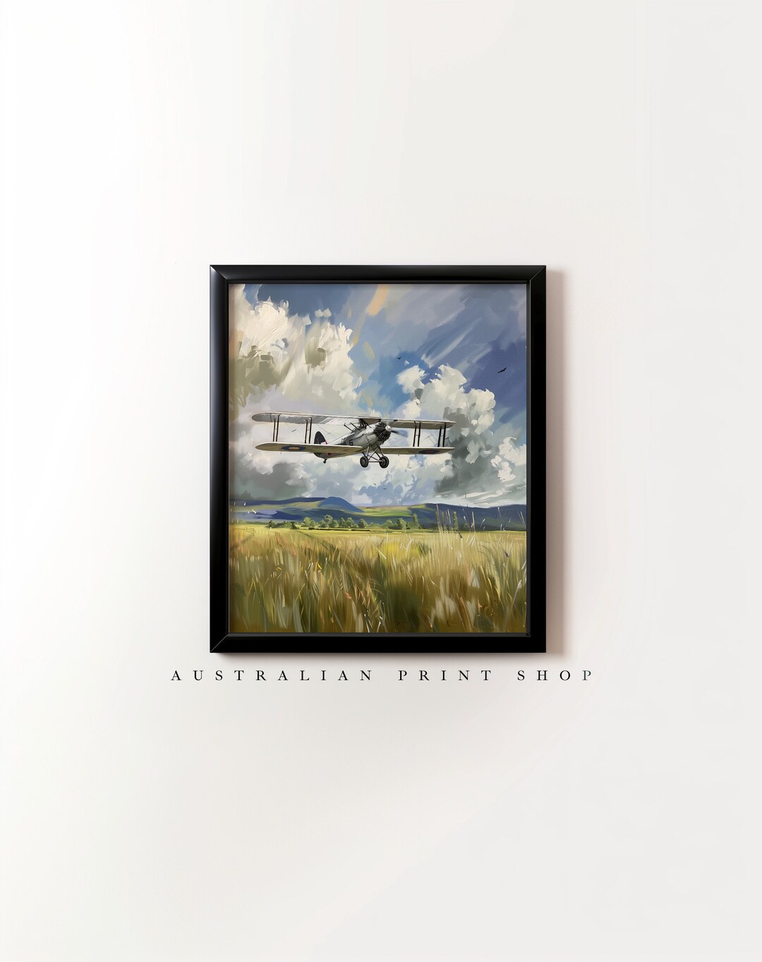 Classic Double Decker Plane Painting | Printable Wall Art | Australian ...