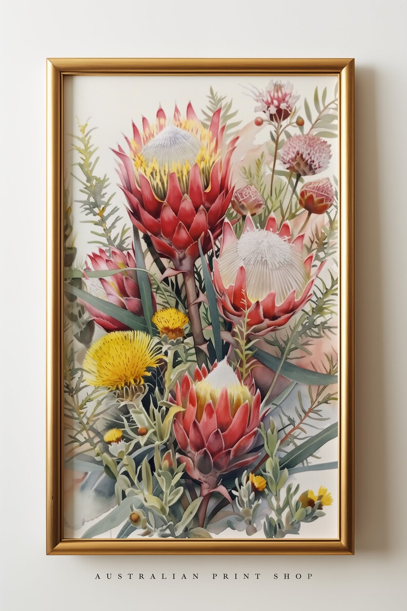 Native Australian Floral Wall Art Botanical Prints Aussie Flora Art ...