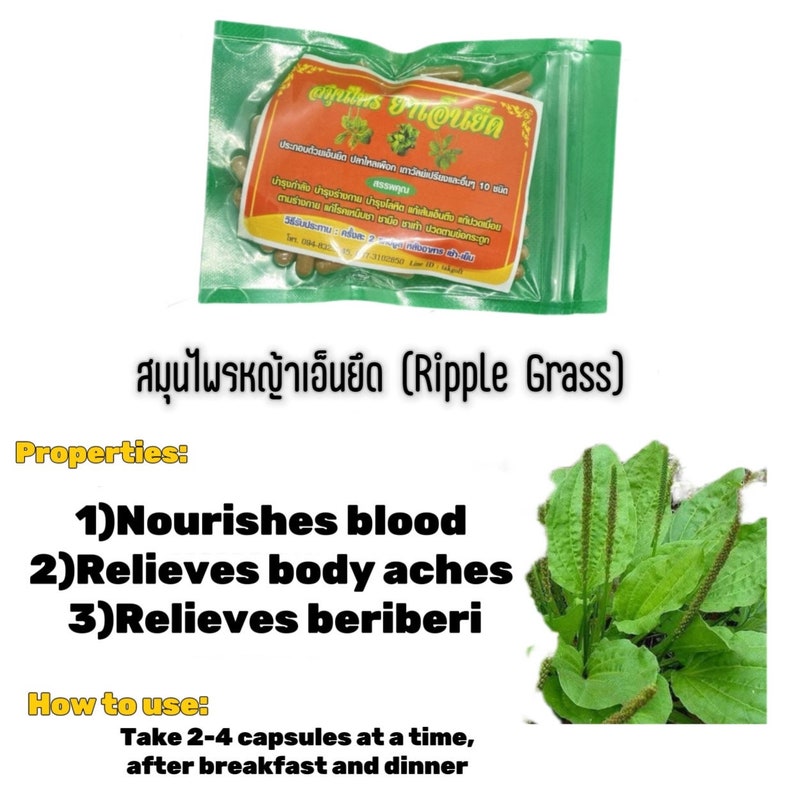 200 Capsules Ripple Grass Thai Herb Big Capsules 100% Natural Thai ...