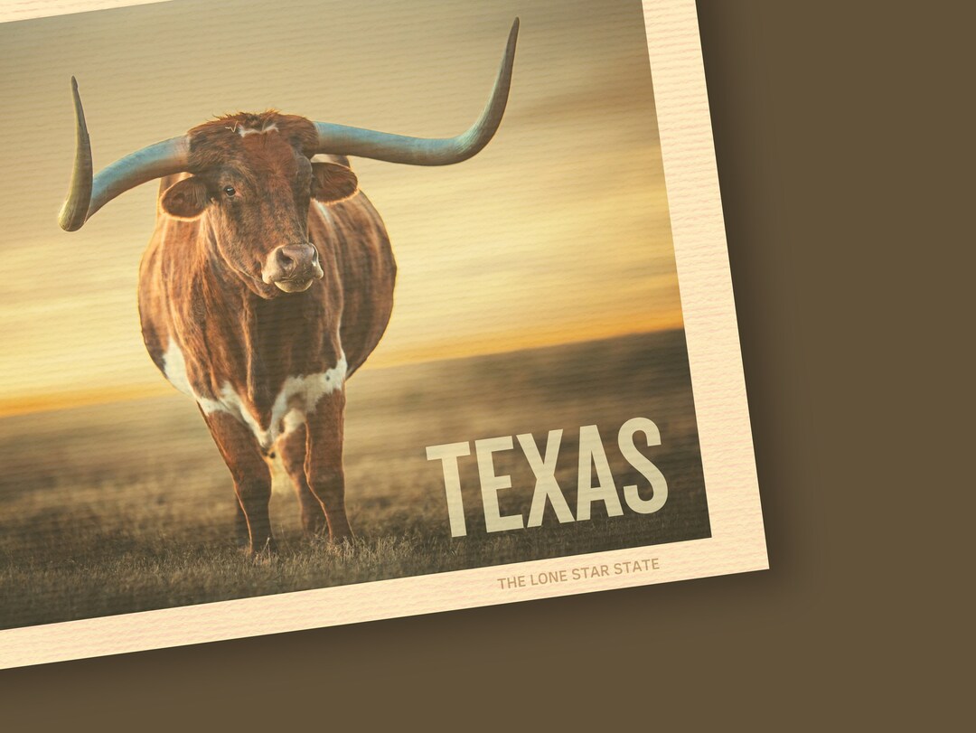 Texas Long Corn Poster Digital Download Hight Resolution 300 Dpi Old ...