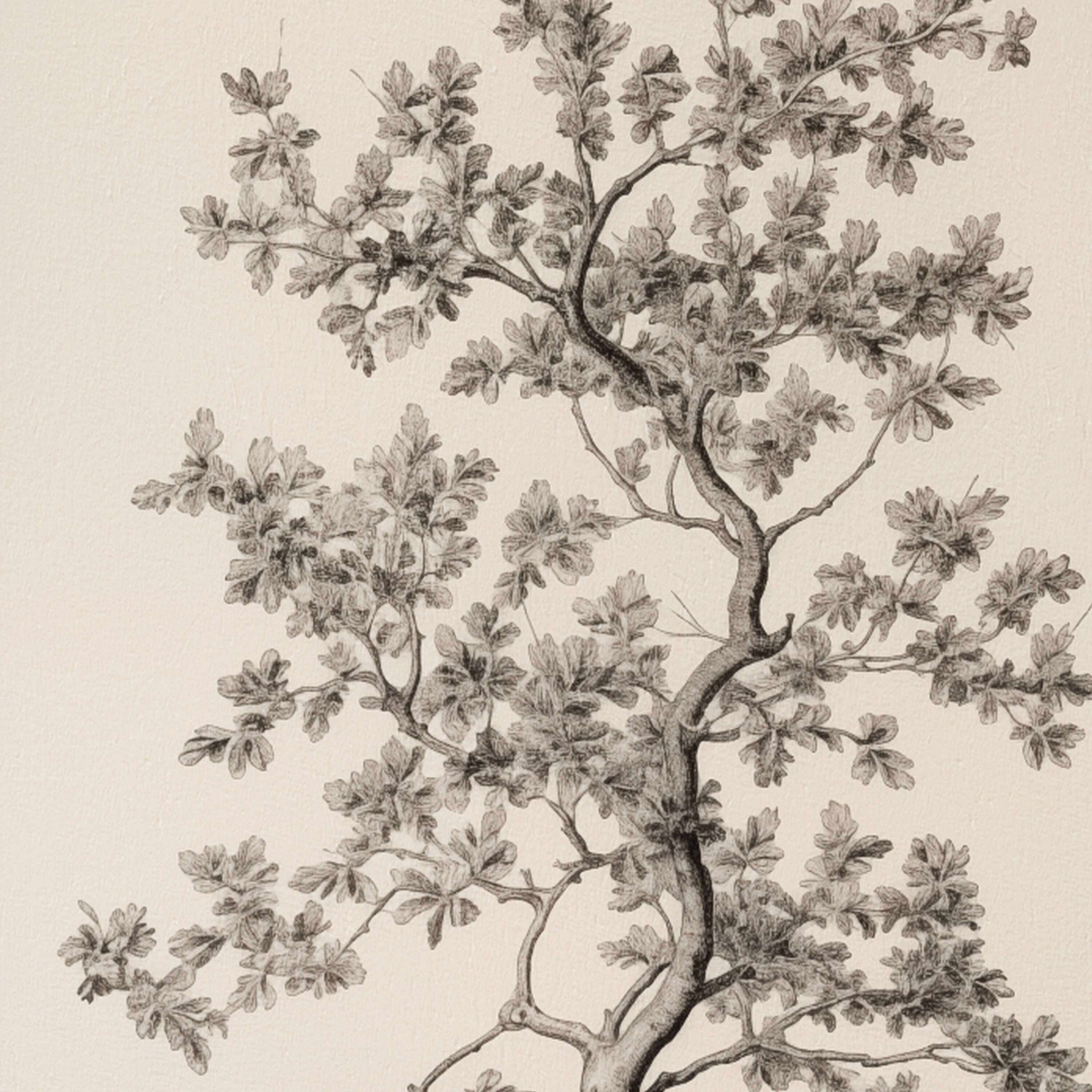 Printable Tree Branch Pencil Drawing Vintage Pencil Sketch Art Print ...