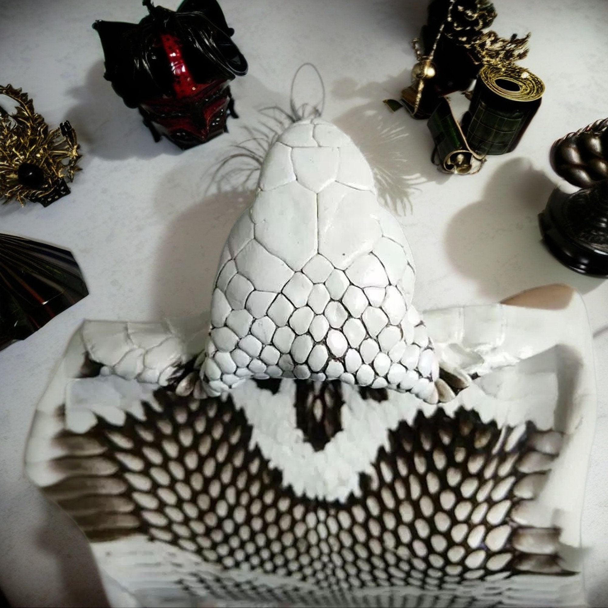 Real Snake Skeleton Specimen, Real Animal Specimen, Clean and Complete ...