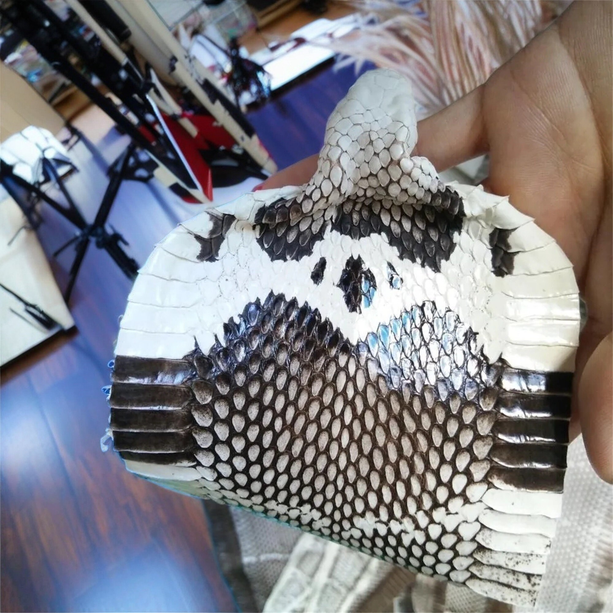 Real Snake Skeleton Specimen, Real Animal Specimen, Clean and Complete ...