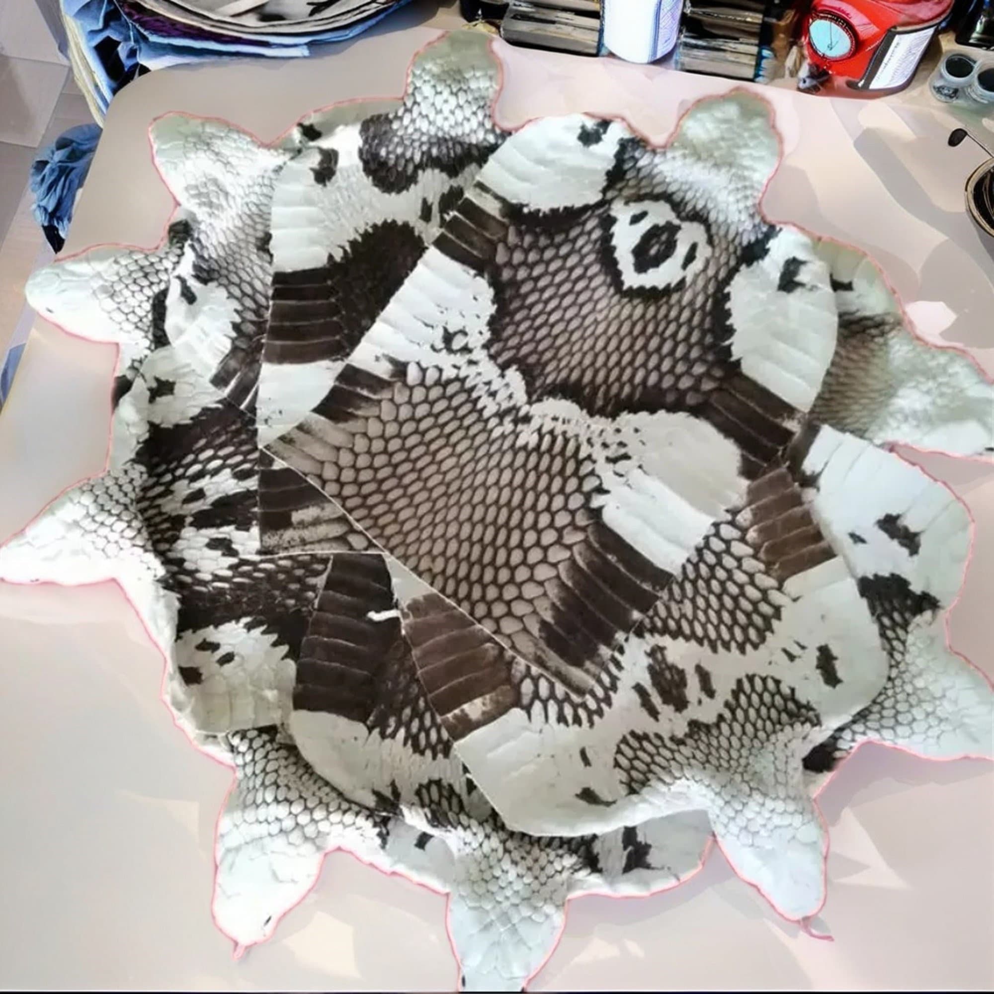 Real Snake Skeleton Specimen, Real Animal Specimen, Clean and Complete ...