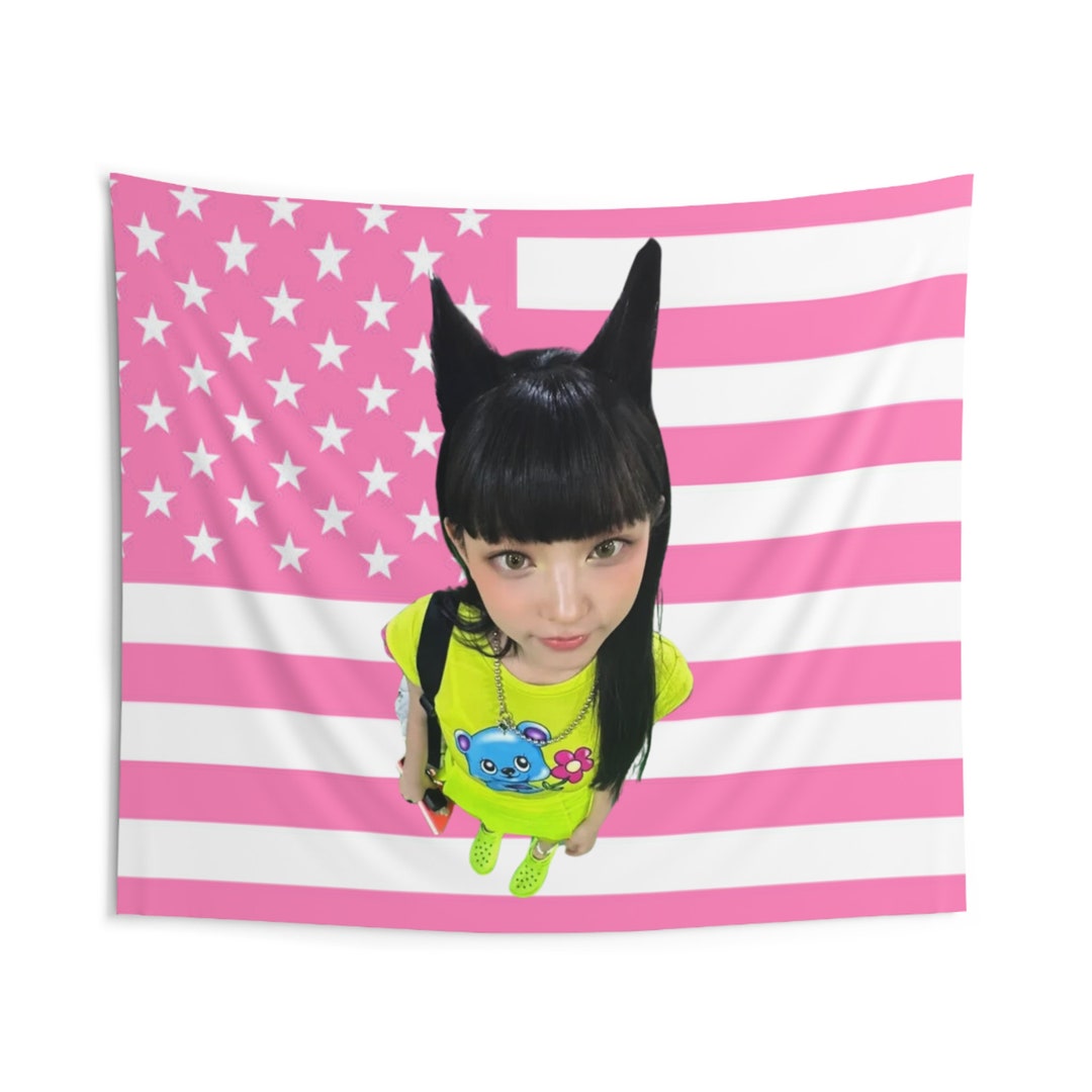 HAERIN NEWJEANS Pink USA Flag, New Jeans Indoor Flag Tapestry, Kpop ...