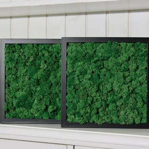 Moss Frame - Etsy