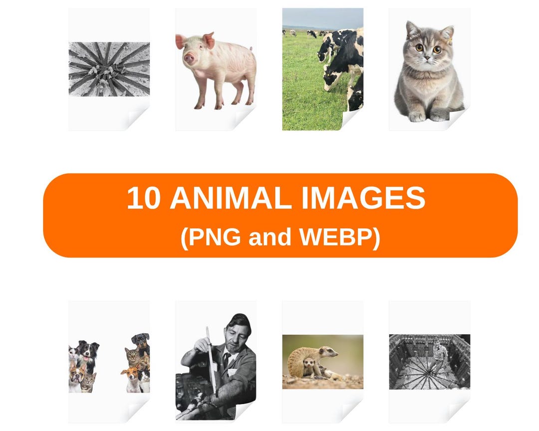 10 Animal Clipart Bundle PNG WEBP | Farm & Pet Graphics Download - Etsy