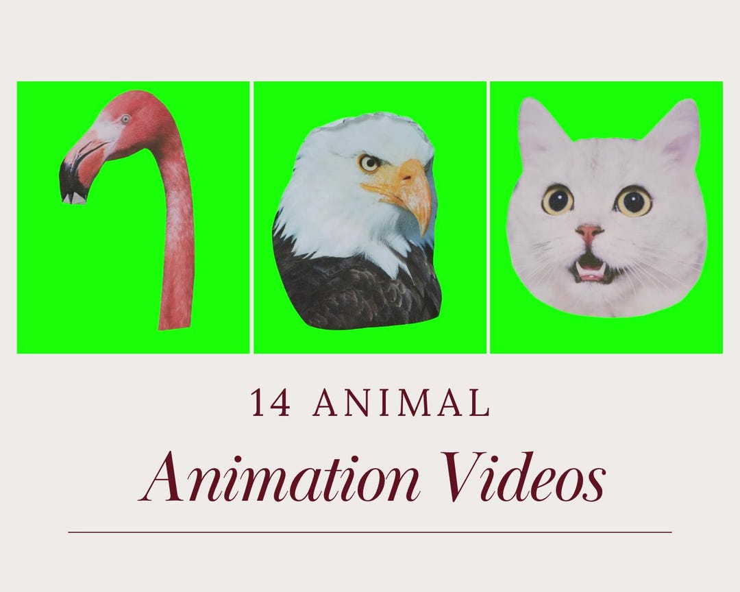 14 Green Screen Animal Animation Videos | Funny Pet Overlays MP4 Bundle ...