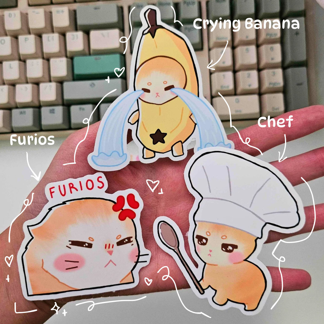 Tiktok Cat Meme Stickers - Etsy