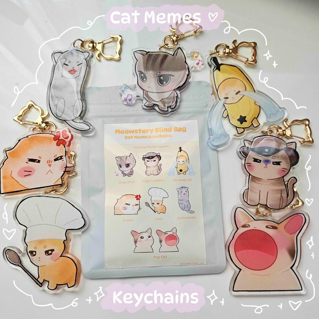 Cat Meme Acrylic Keychains || Cute Gift to Attach to Your Bag, Pencil ...