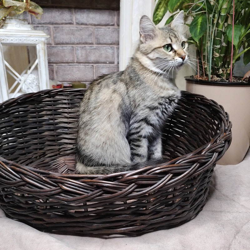 Wicker Cat House - Etsy