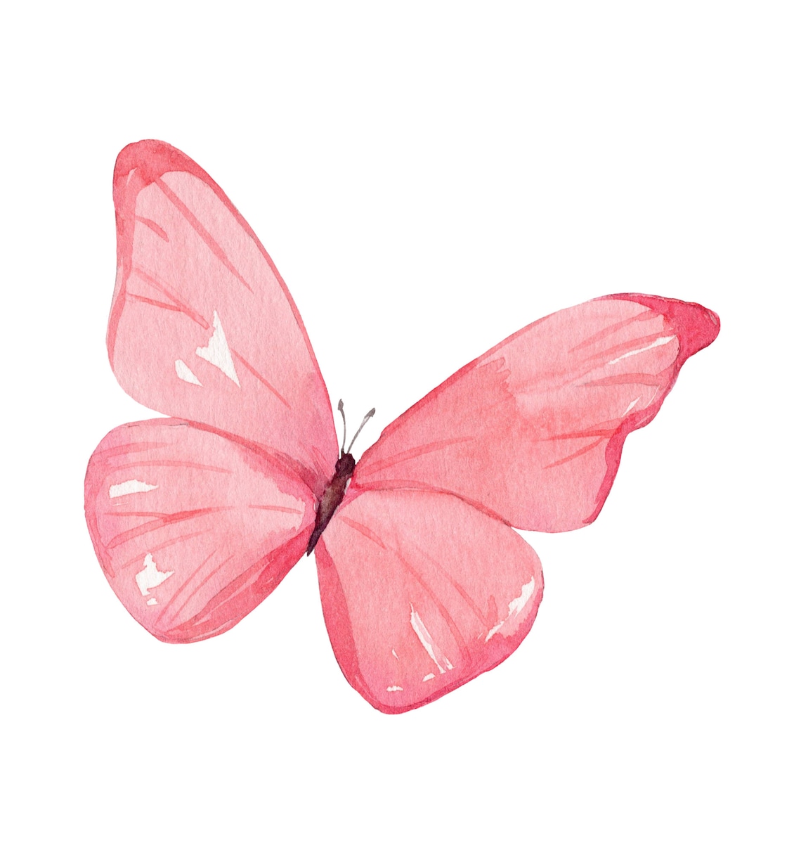 Pink Butterfly SVG - Etsy