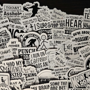 Adult Sarcastic Vinyl Sticker Pack, Inappropriate Funny Swear Humor ...