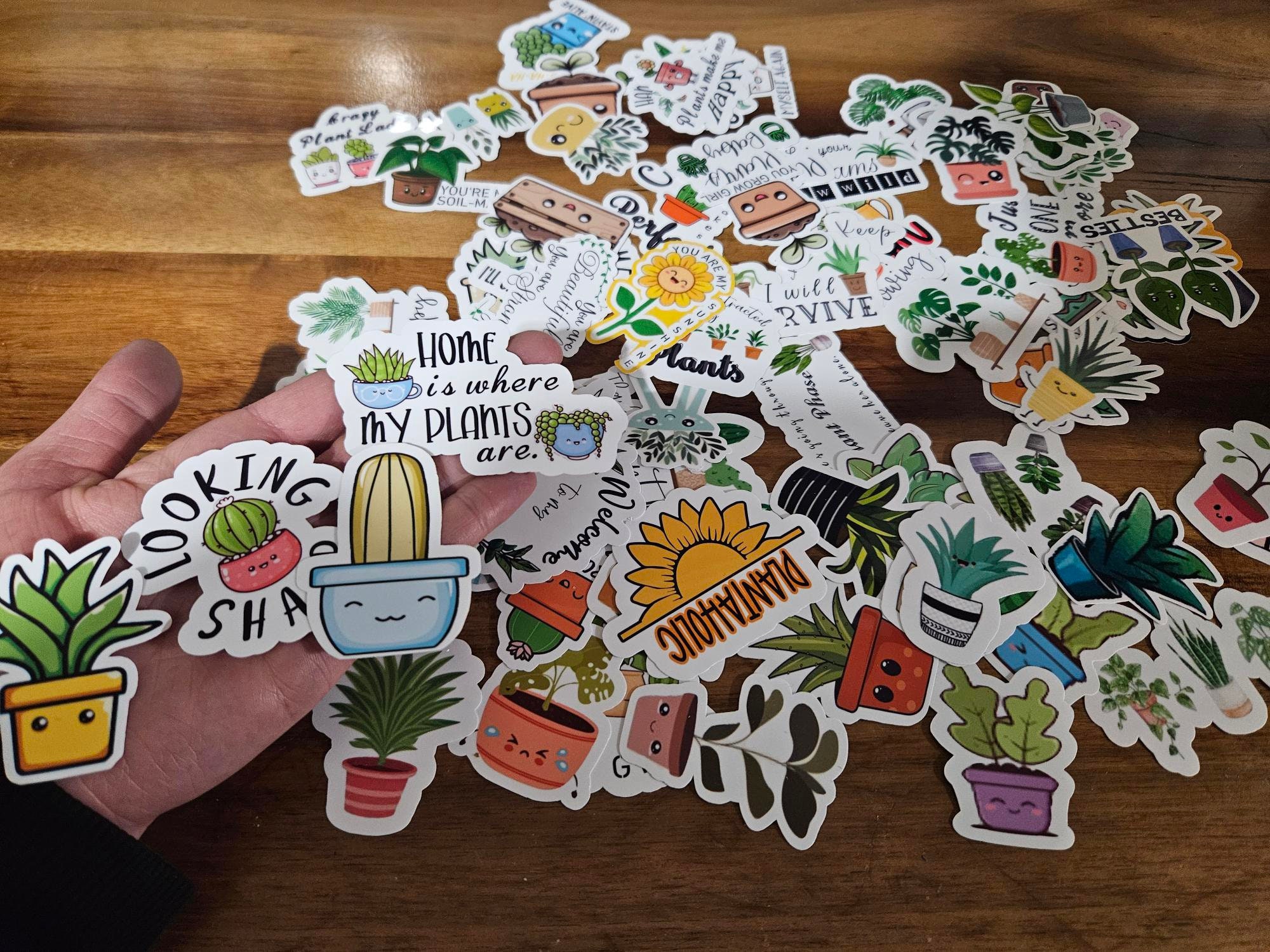 Plant Stickers, Cute Funny Motivational, Glossy Vinyl Stickers ...