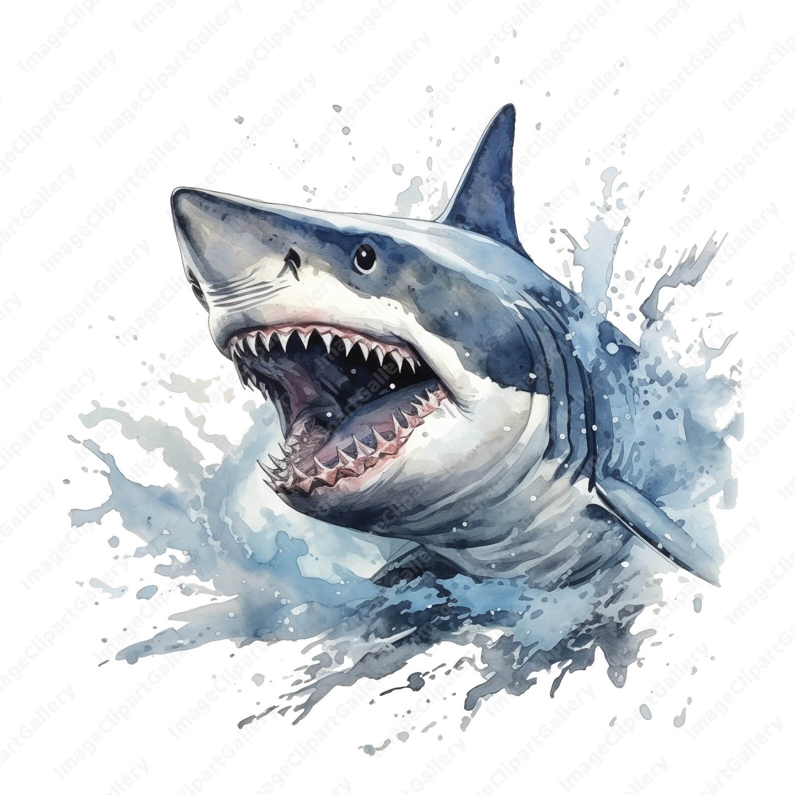 12 SHARK PNG Image Clipart, Transparent Background - Etsy