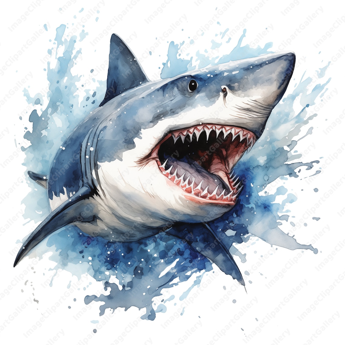 12 SHARK PNG Image Clipart, Transparent Background - Etsy