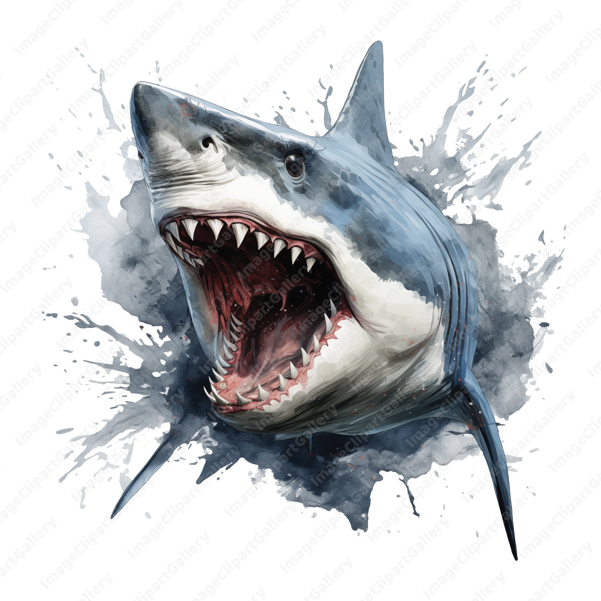 12 SHARK PNG Image Clipart, Transparent Background - Etsy