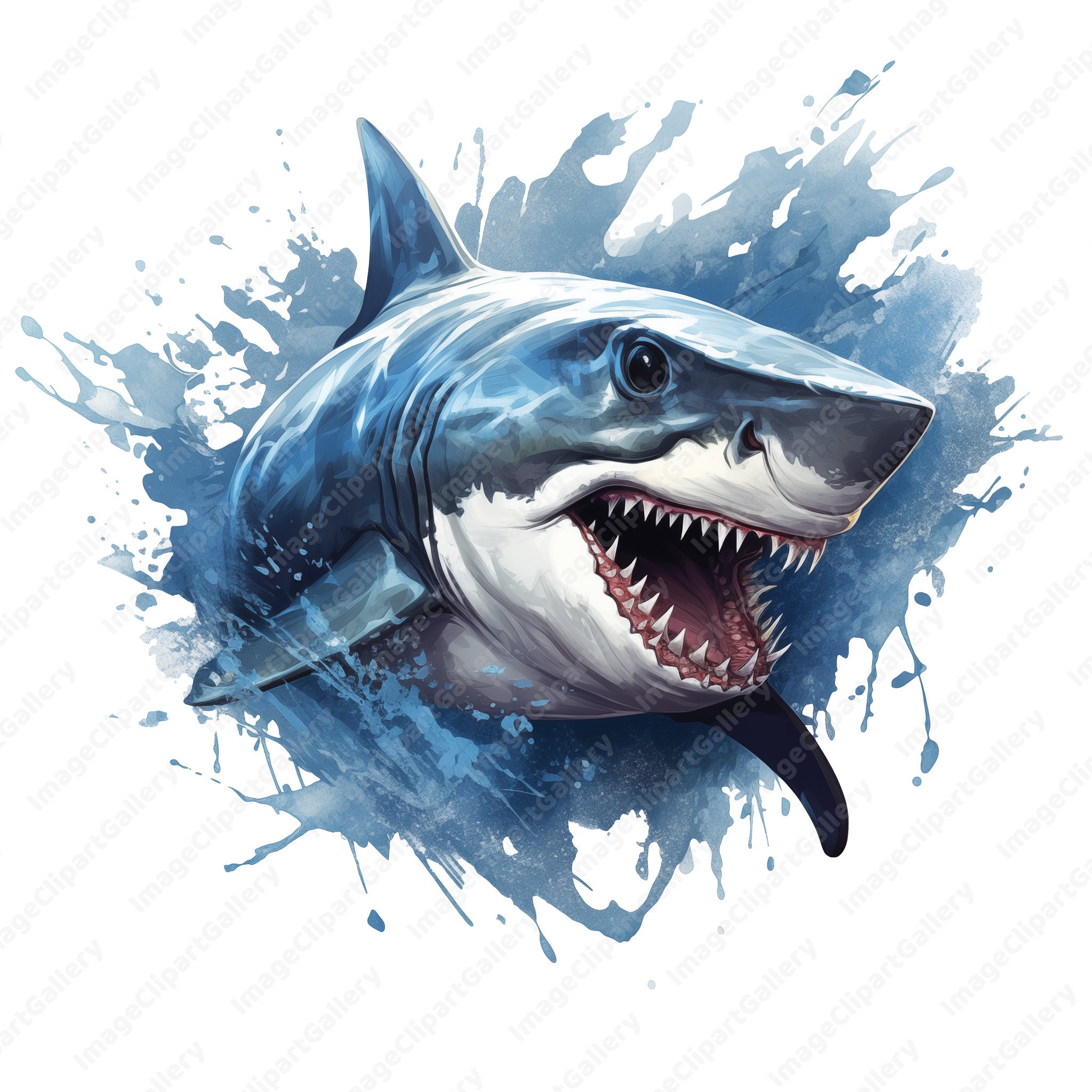 12 SHARK PNG Image Clipart, Transparent Background - Etsy