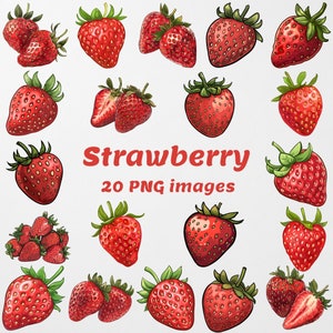20 Strawberry PNG Image Clipart, Transparent Background - Etsy