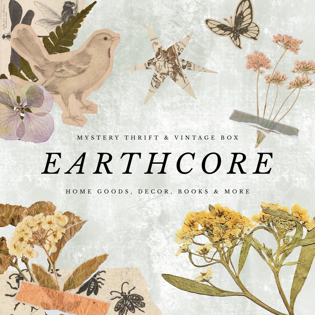 Curated Earthcore Mystery Box | Nature-inspired Thrifted and Vintage ...