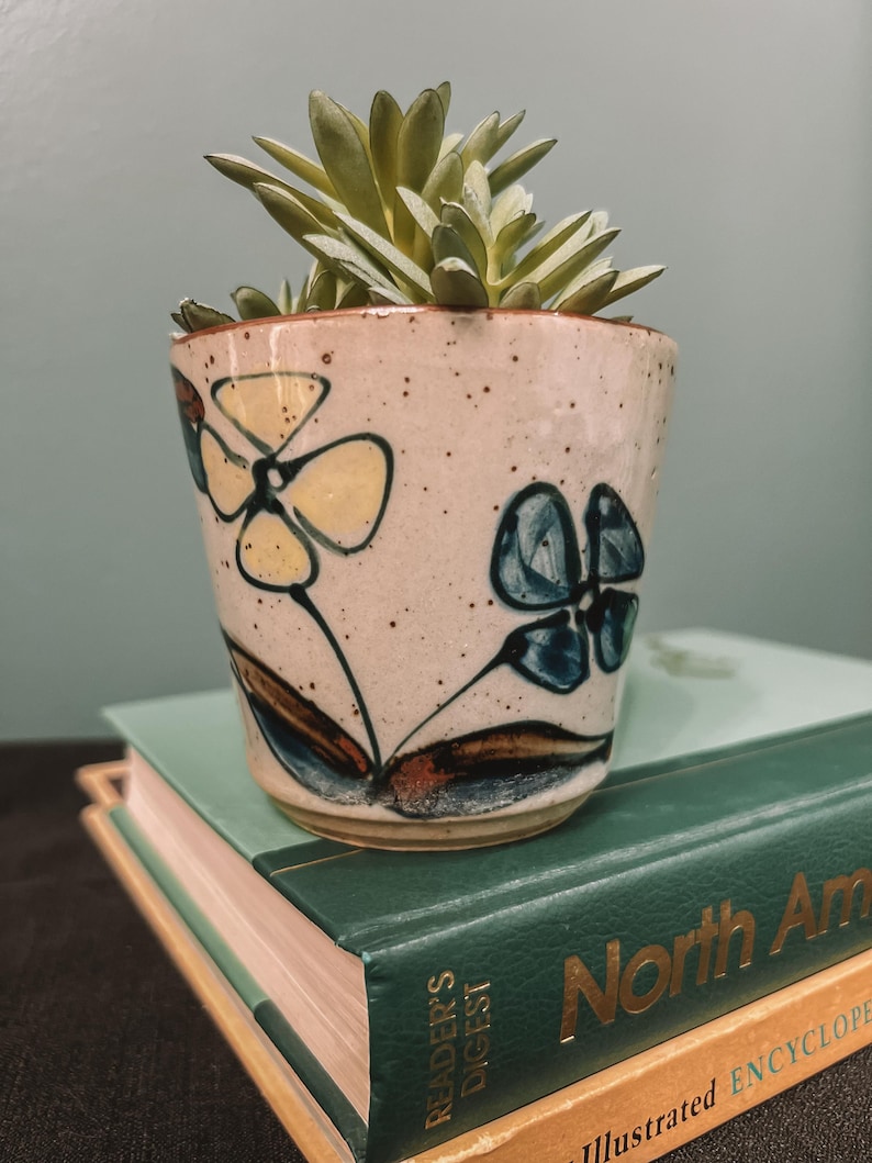 Curated Earthcore Mystery Box | Nature-inspired Thrifted and Vintage ...