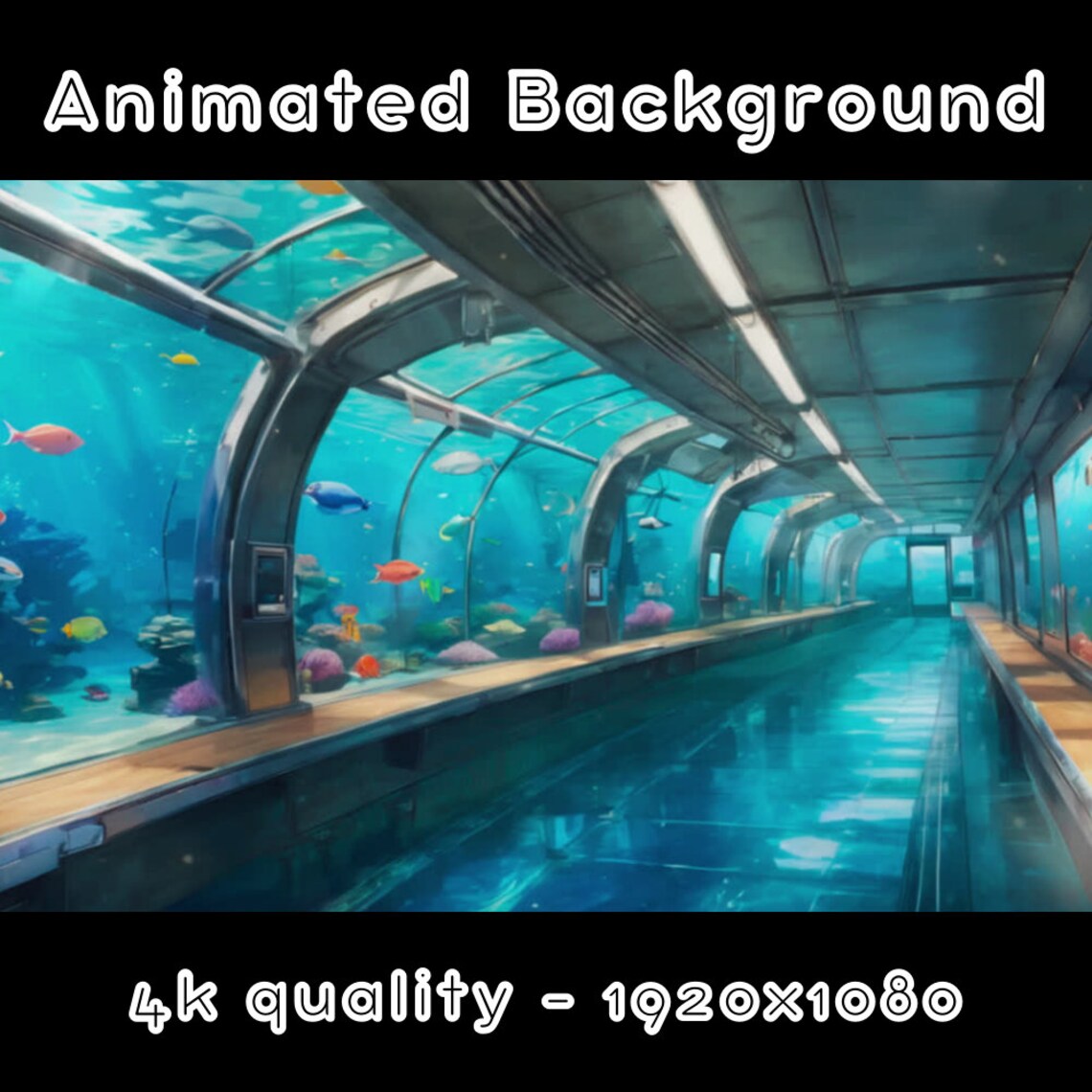 ANIMATED BACKGROUND - Marine Park, Marine Life, Summer, Ocean (loop, 4k ...