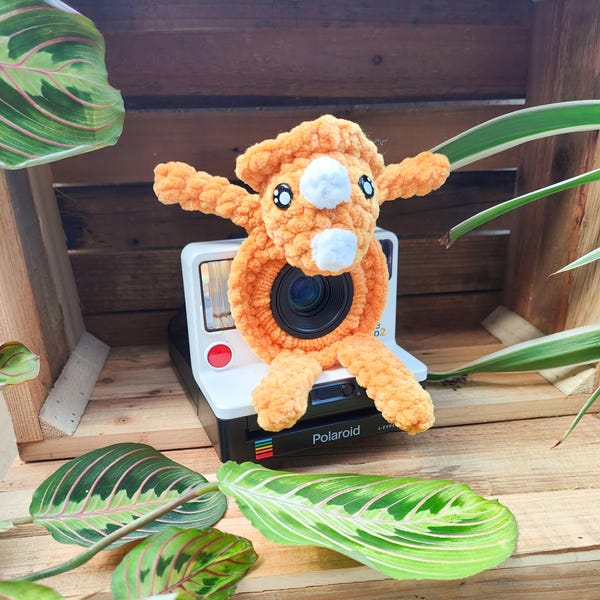 Lens Buddy - Etsy