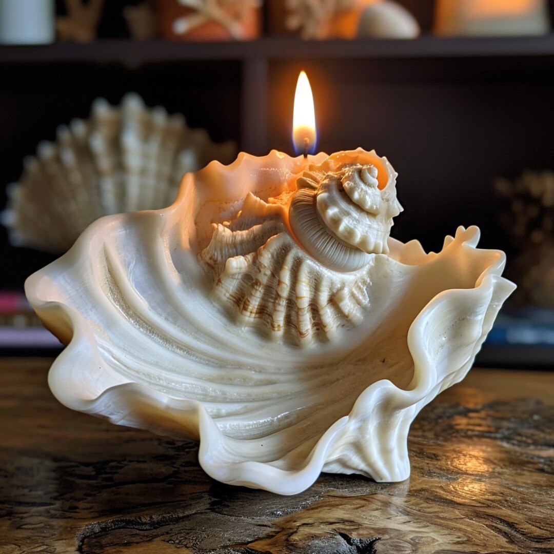 Craft Handmade Seashell Candle Holders for Tranquility - Etsy