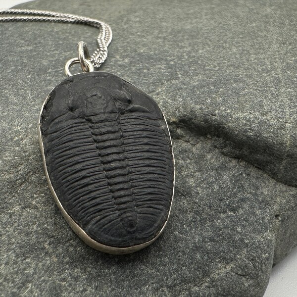 Trilobite Pendant - Etsy