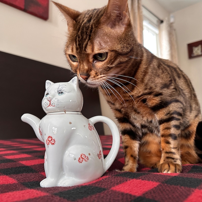 Cat Teapot - Etsy