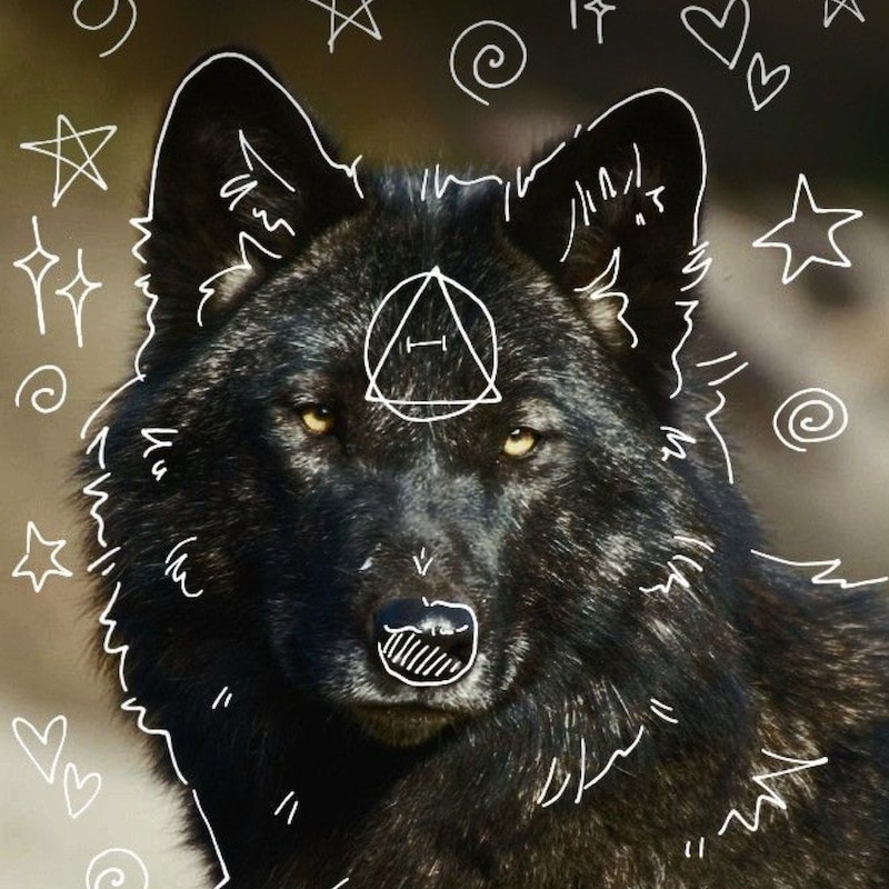 Black Wolf Therian Mask - Etsy