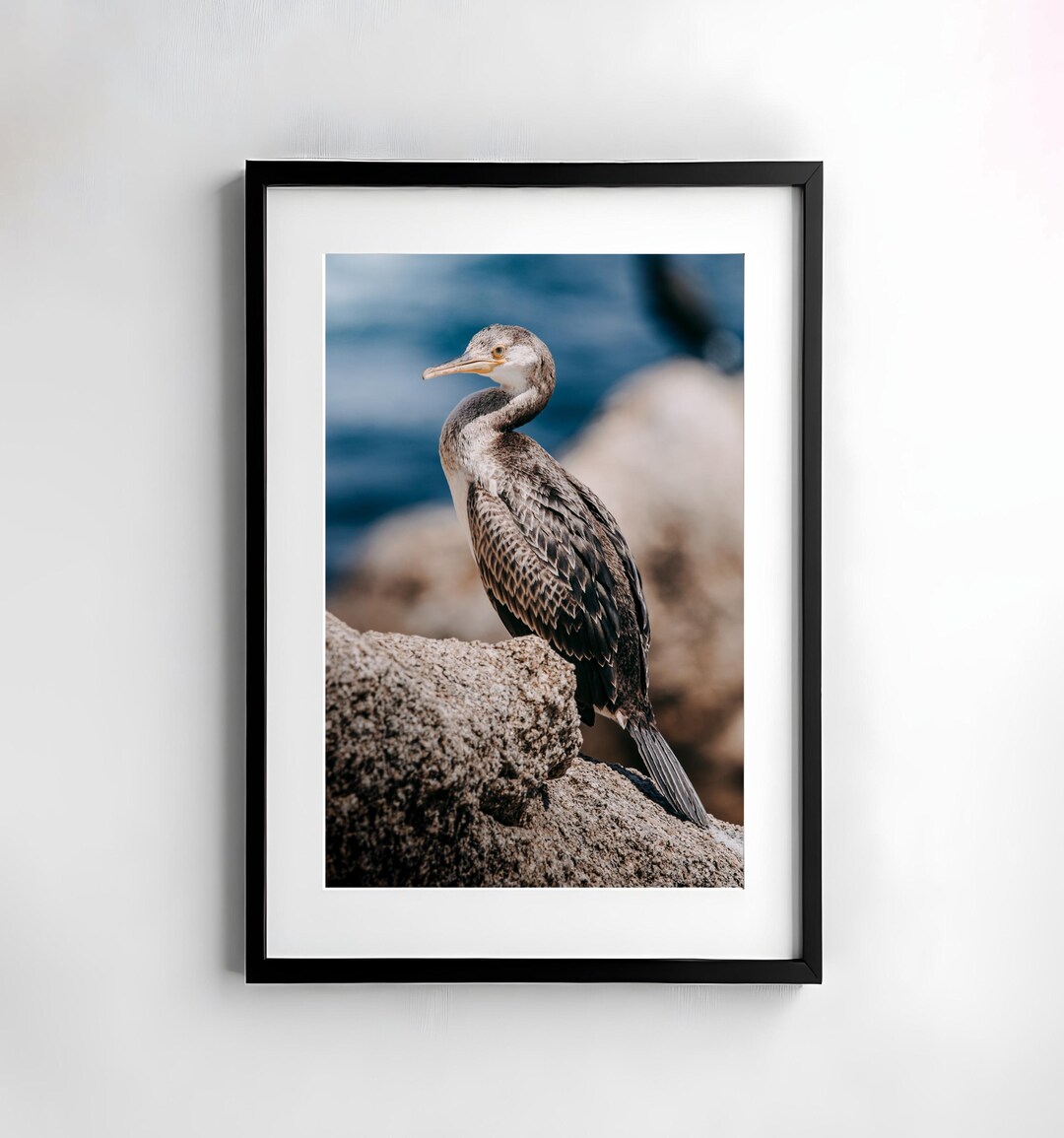 Cormorant Photography – Digital Download | Wild Bird Poster Print ...