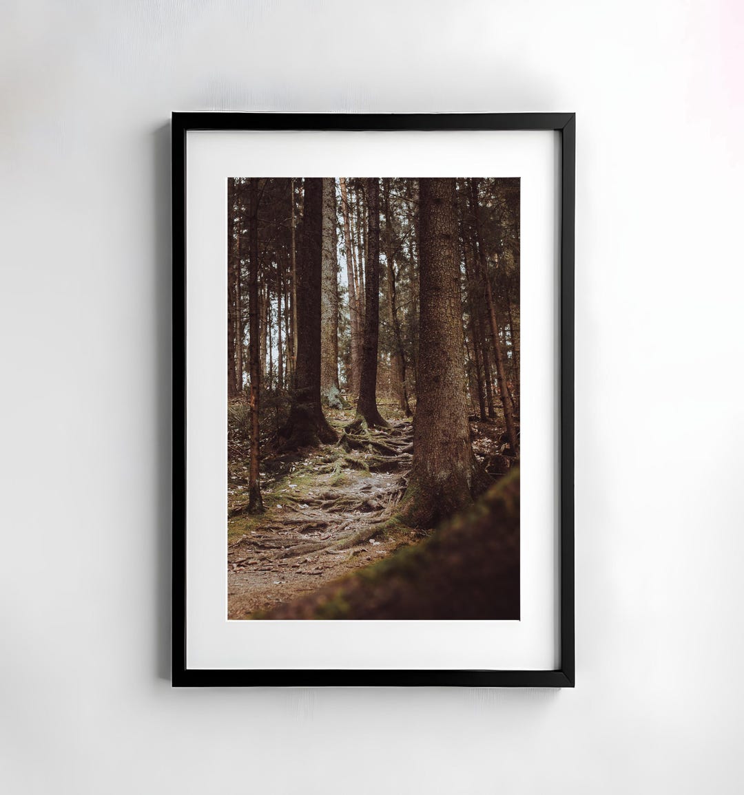 Forest Photography, Nature Poster Print, Digital Print Trees, Forest ...