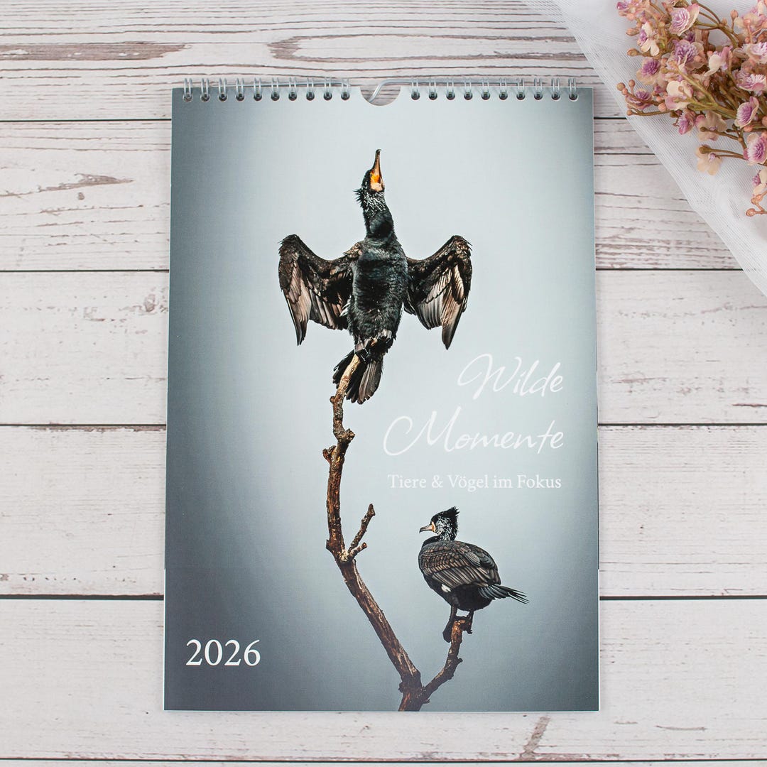 Wall Calendar 2026 Wild Animals A4 Portrait Format, Photo Calendar for ...