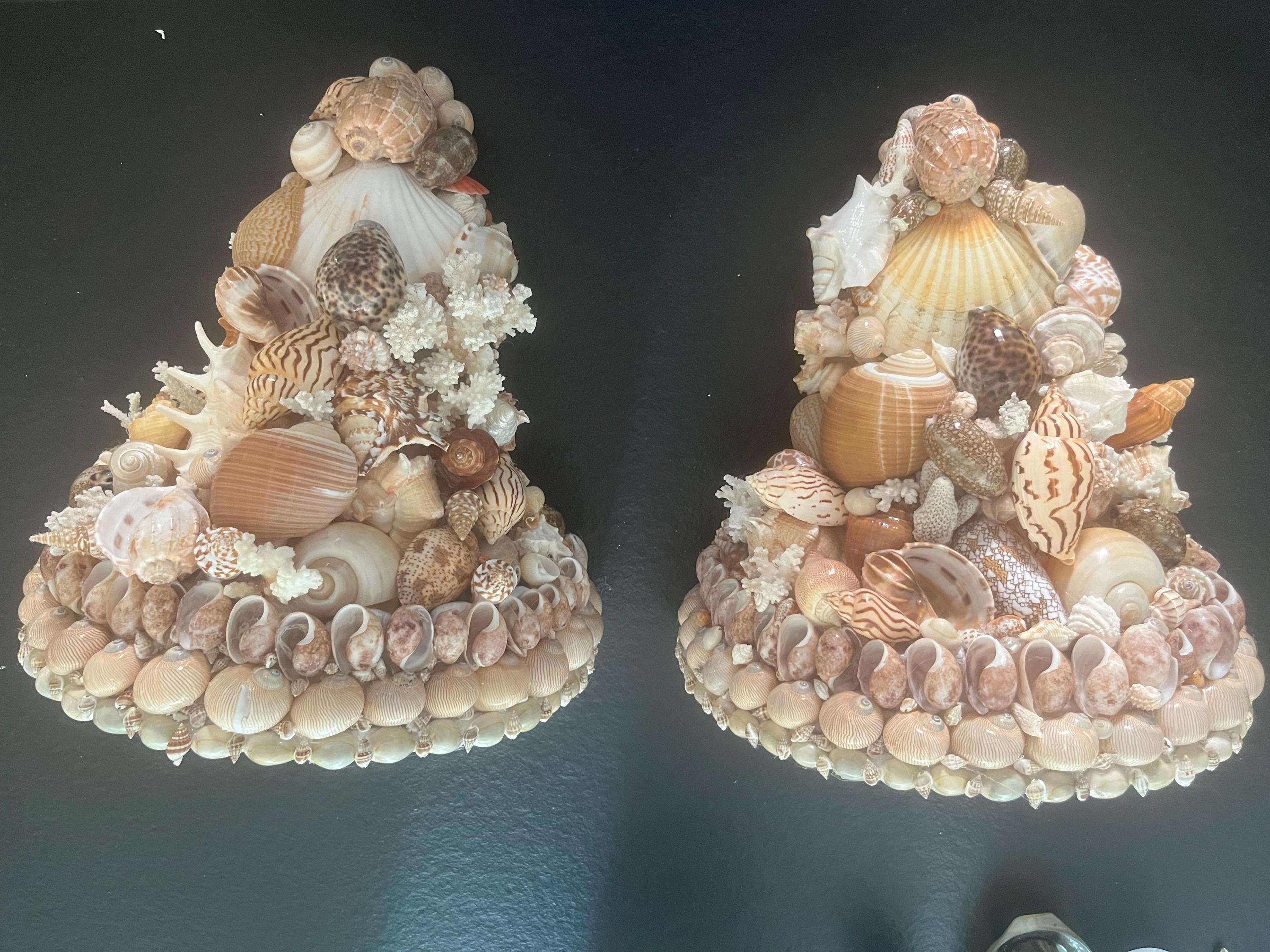 Wall Shelf, Seashell Sconce or Use as Bookends - Etsy
