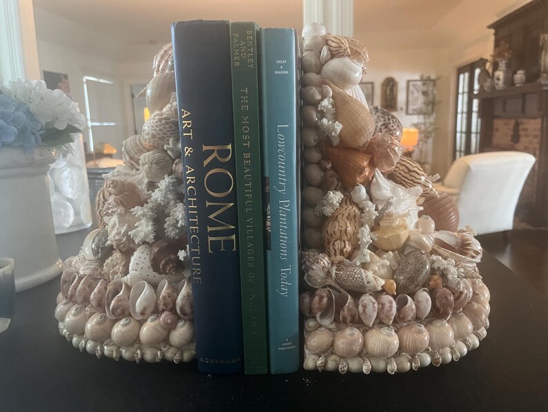 Wall Shelf, Seashell Sconce or Use as Bookends - Etsy