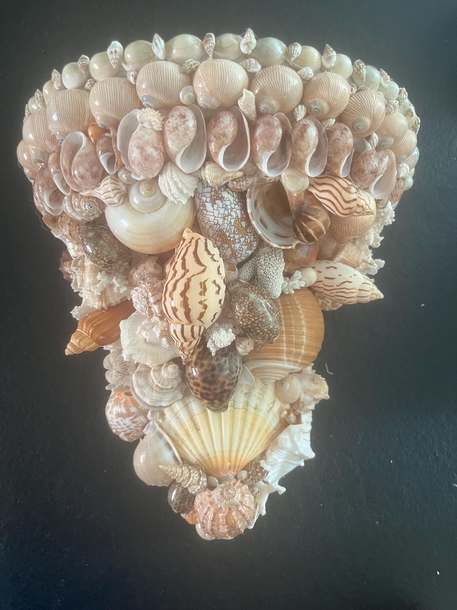 Wall Shelf, Seashell Sconce or Use as Bookends - Etsy