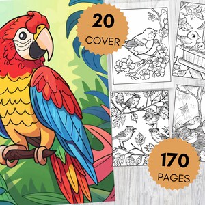 Cute Birds Coloring Book for Kids and Adults, Easy Bird Printable ...