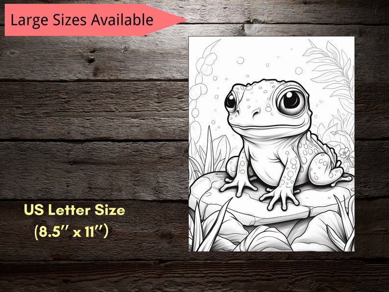 Cozy Frogs Coloring Page Set Frog Coloring Pages Cozy Coloring Pages ...