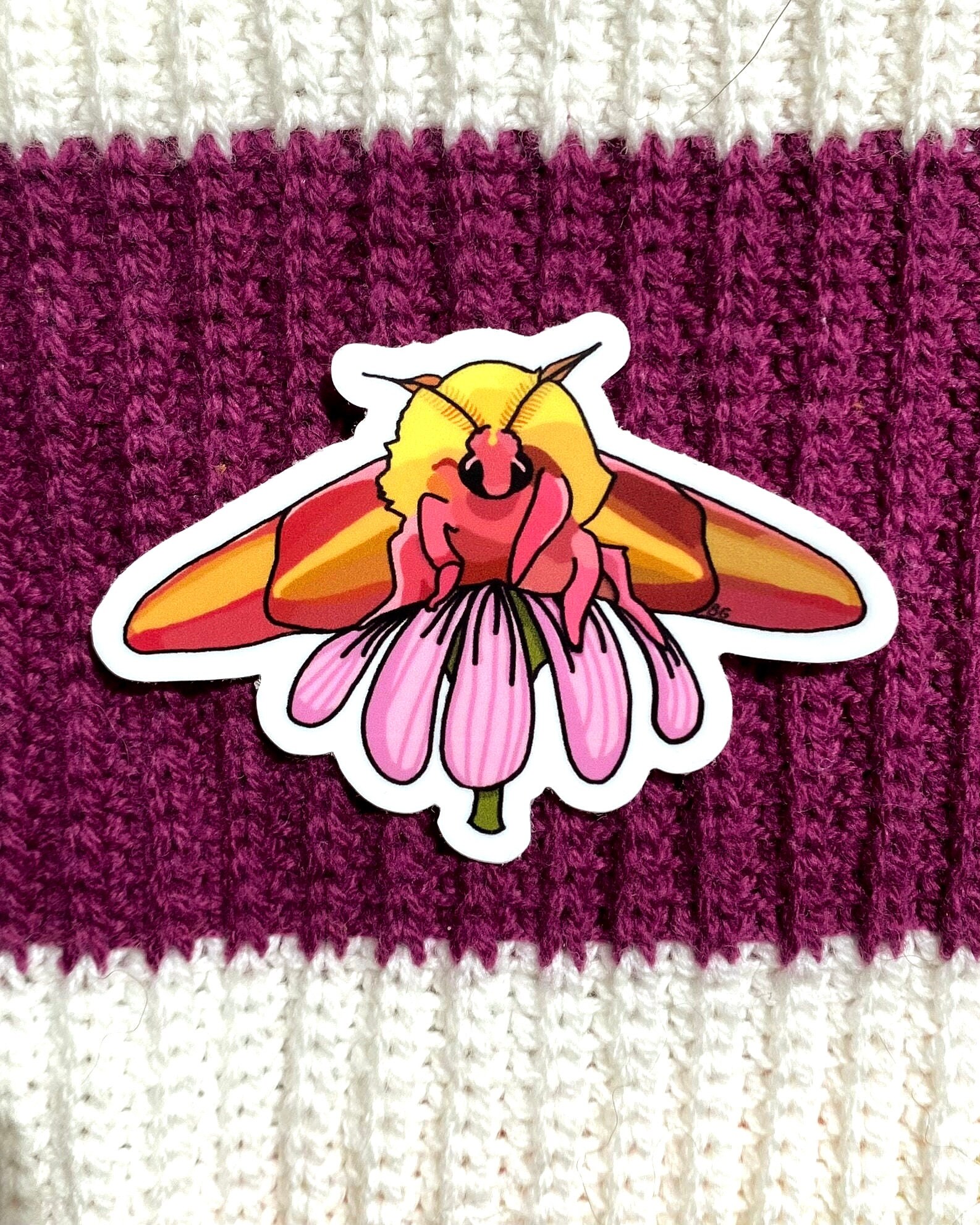 Rosy Maple Moth Sticker, Cute Butterfly Sticker, Insect Sticker, Moth ...