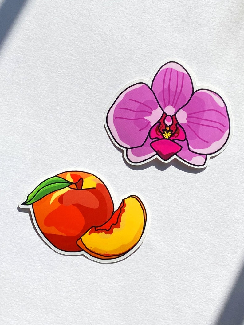 Pink Orchid Sticker, Tropical Flower Sticker, Vinyl Sticker, Colorful ...