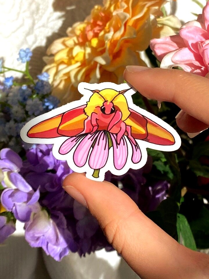 Rosy Maple Moth Sticker, Cute Butterfly Sticker, Insect Sticker, Moth ...
