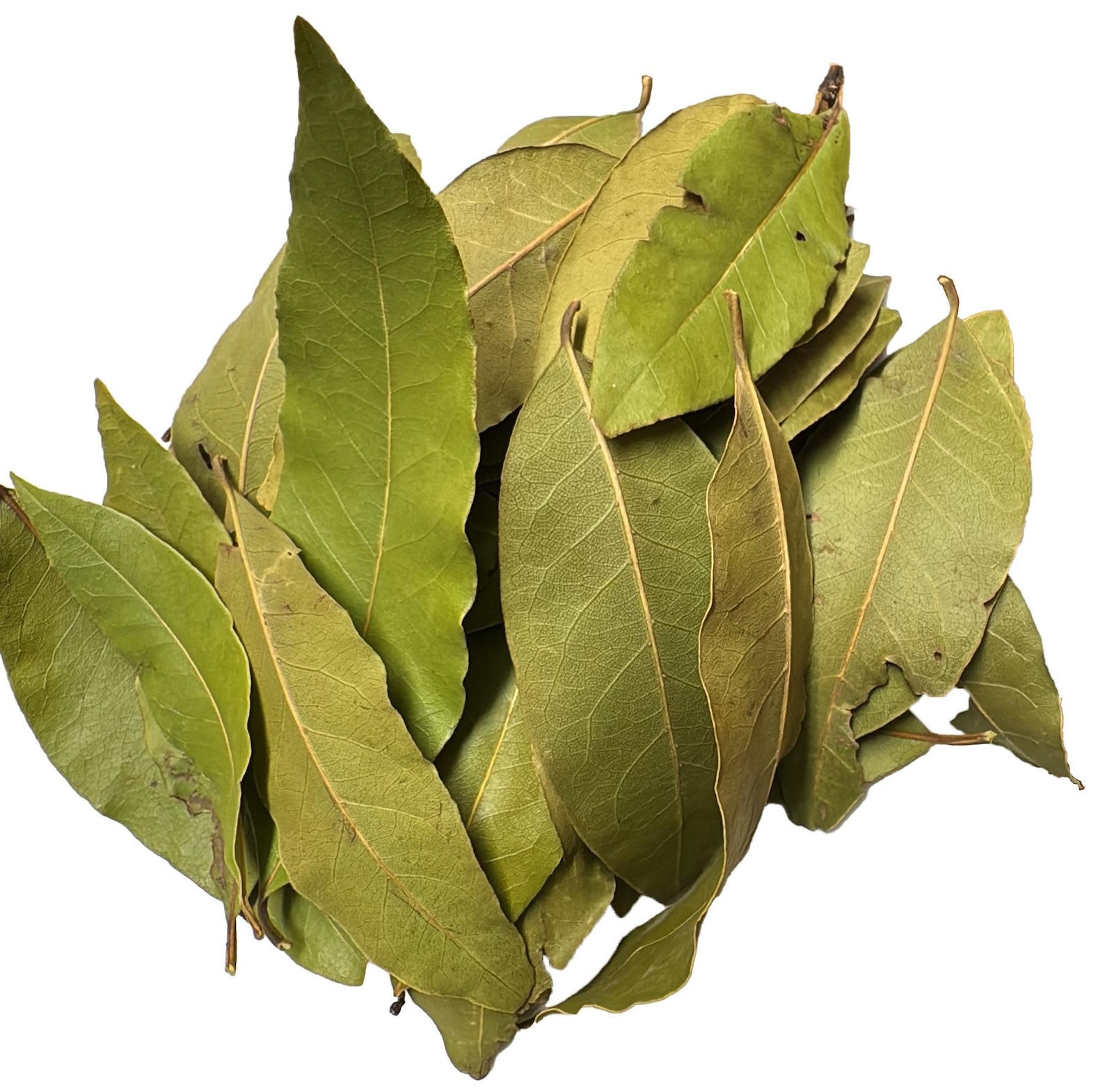 Lebanese Bay Leaves - Waraq Ghar (ورق غار) - 1 Oz. Imported From ...