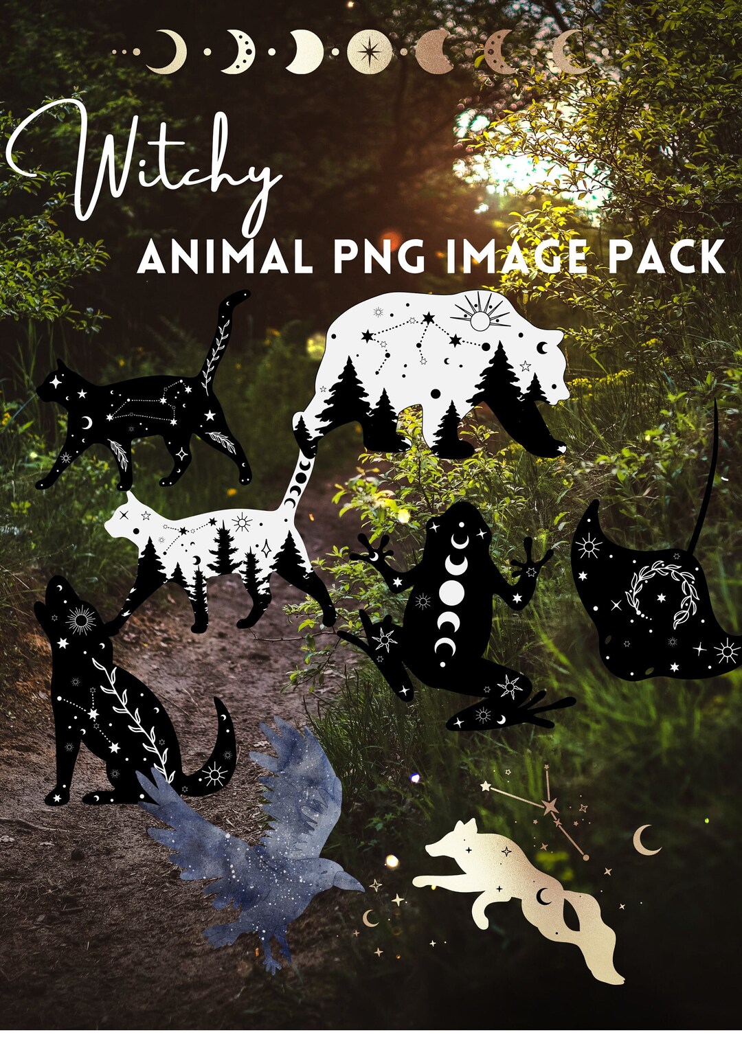 Witchy Animal Symbol PNG SVG Image Pack, Whimsical, Witch, Celestial ...
