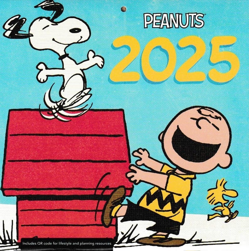 Peanuts charlie Brown 2025 Mini 7 X 14 16 Month Wall Calendar - Etsy UK