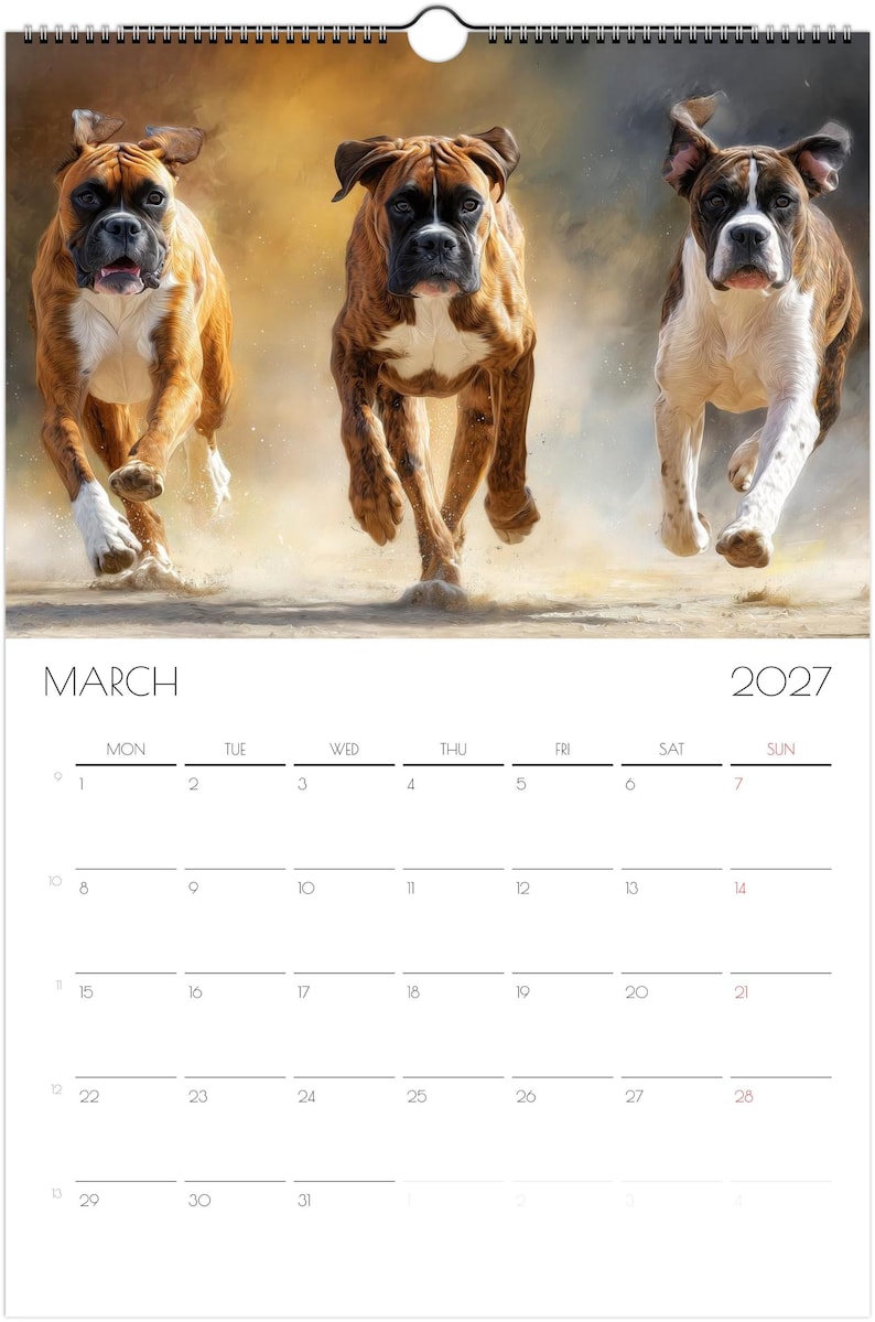 Boxer Calendar 2027 – Art Style Dog Wall Calendar, 12 Month Planner ...