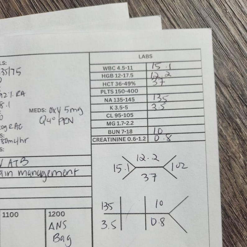 Nurse Report Sheet, 2 Patient Medsurg Nurse Report Sheet, Nurse Brain Sheet, Medsurg RN Handoff ...