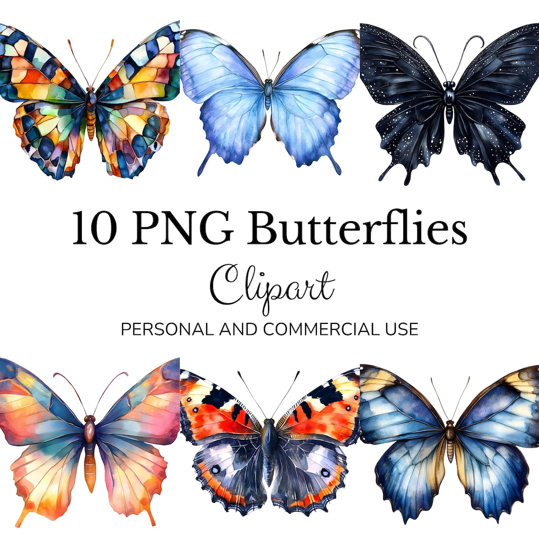 10 PNG Butterflies Clipart for Projects, POD, Decorations, Stickers ...
