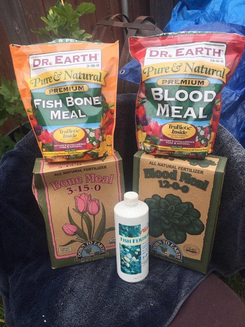 3 Plugs. Canadian Strain Sweet Grass.longest Growing Strain of ...