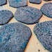 20 Navajo Blue Corn Seed Rare Hard to Find Organic,non-gmo,native Grown ...